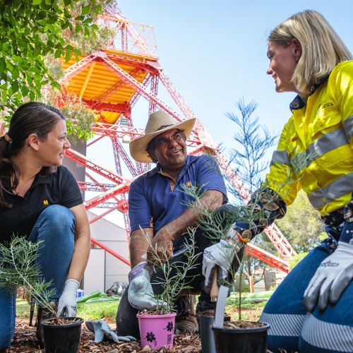 Gold Fields team plants for the future at Museum of the Goldfields